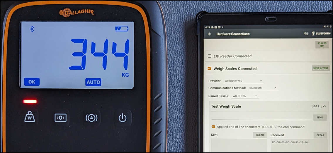 Setup Gallagher W-0 Weigh Scale (app)